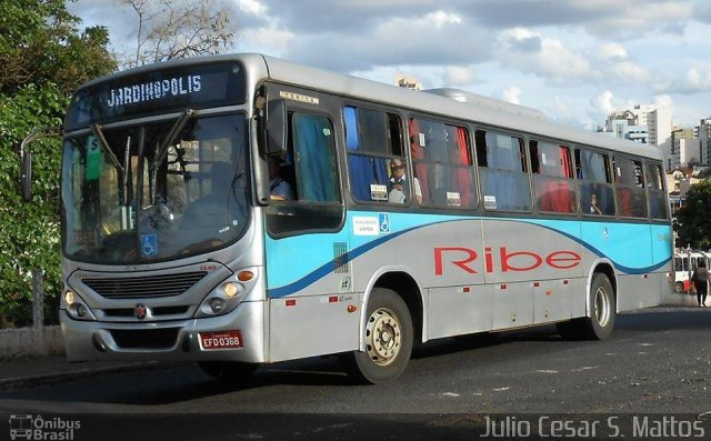 Ribe Transporte 1340 em Ribeirão Preto por Julio Cesar S. Mattos - ID ...